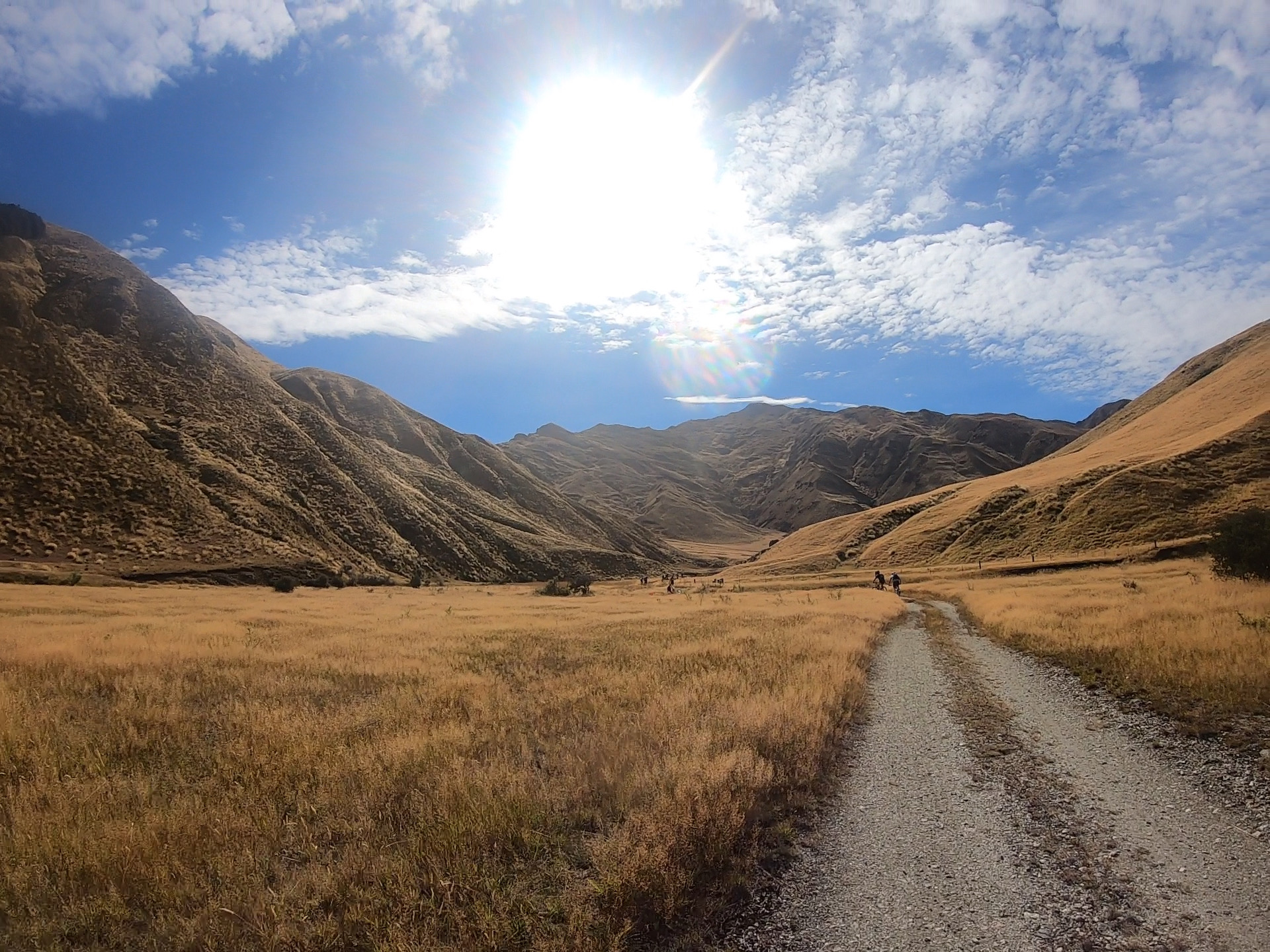 Going Off-Road - Motatapu - Laura Siddall